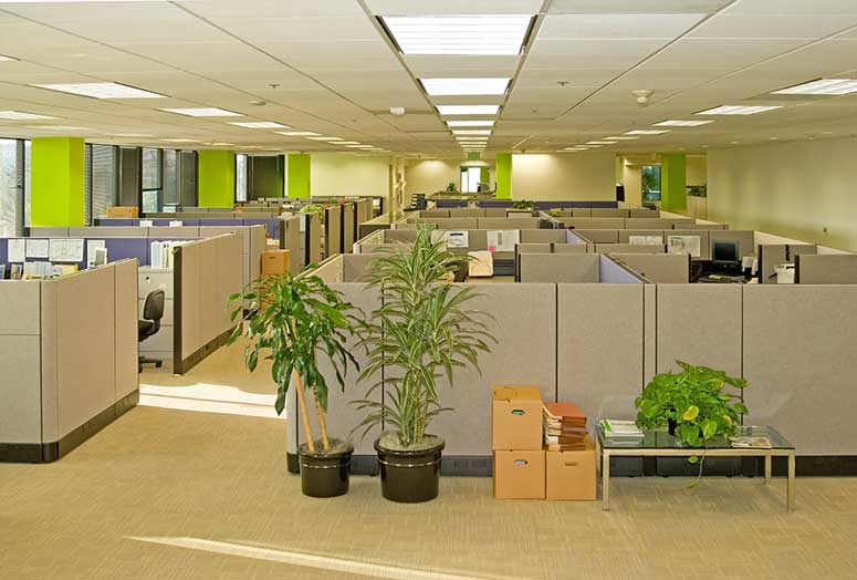 Data Cabling Vaughan - Cabling Canada